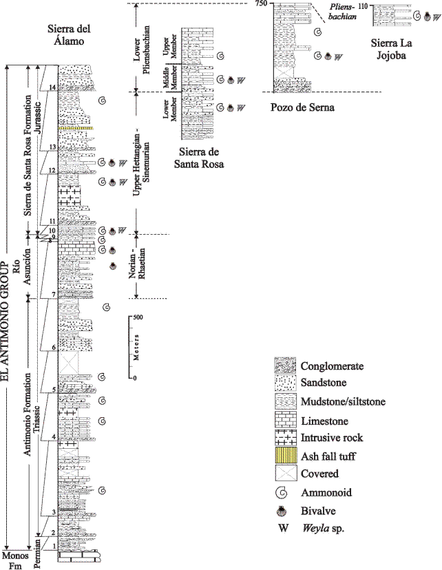 The Triassic/Jurassic boundary and the Jurassic stratigraphy and ...